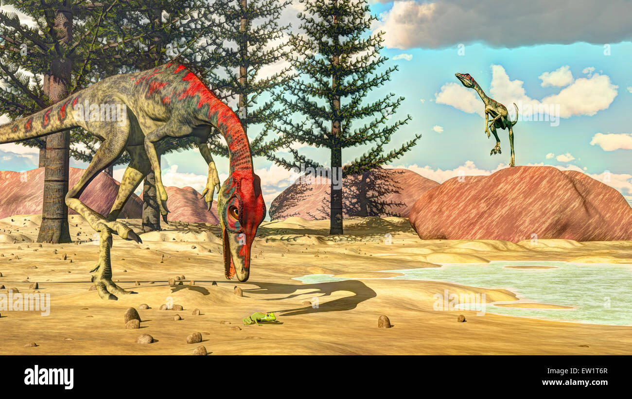 Compsognathus dinosaur attempts to eat a frog in the desert amongst ...