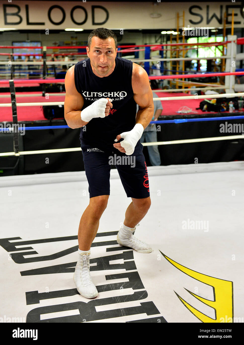 The Undisputed Heavyweight World Champion boxer Wladimir Klitschko ...