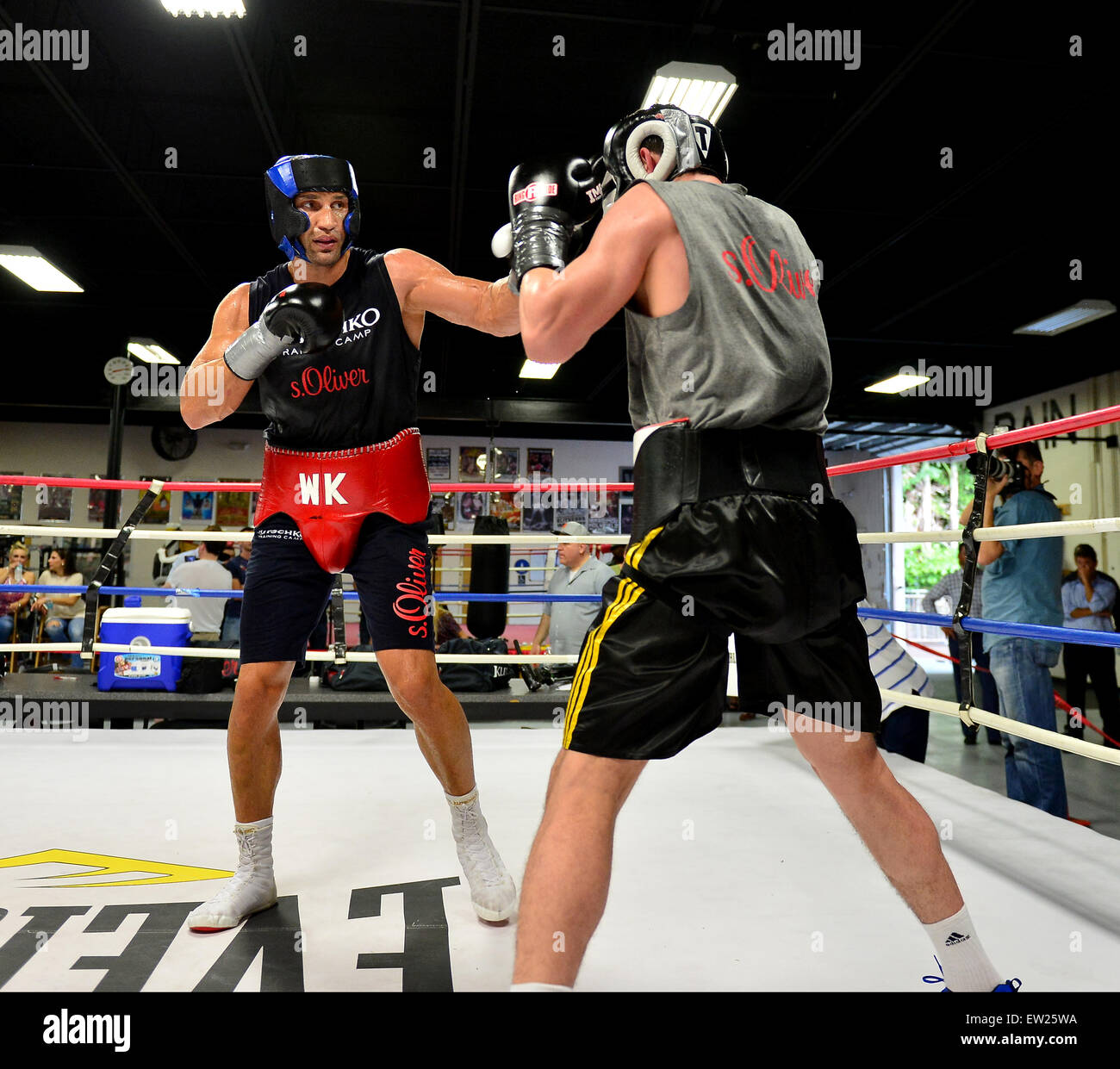 The Undisputed Heavyweight World Champion boxer Wladimir Klitschko ...