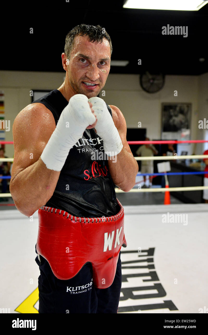 The Undisputed Heavyweight World Champion boxer Wladimir Klitschko ...