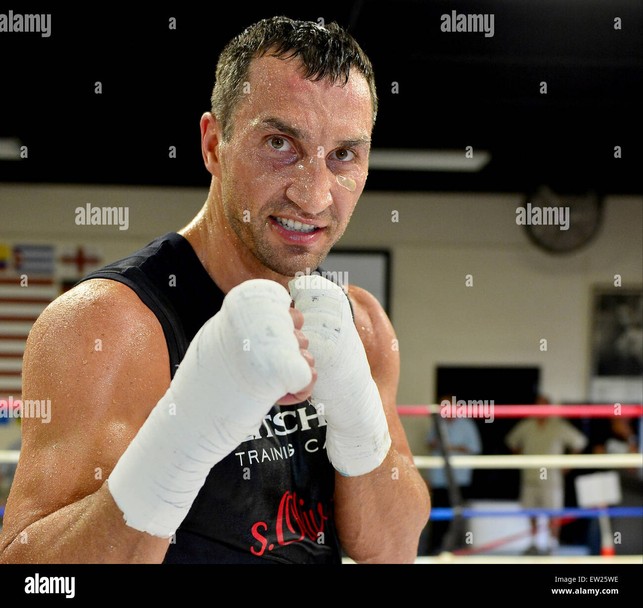 The Undisputed Heavyweight World Champion boxer Wladimir Klitschko ...