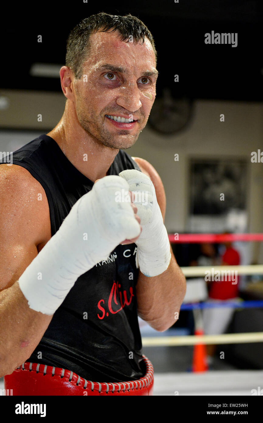 The Undisputed Heavyweight World Champion boxer Wladimir Klitschko ...