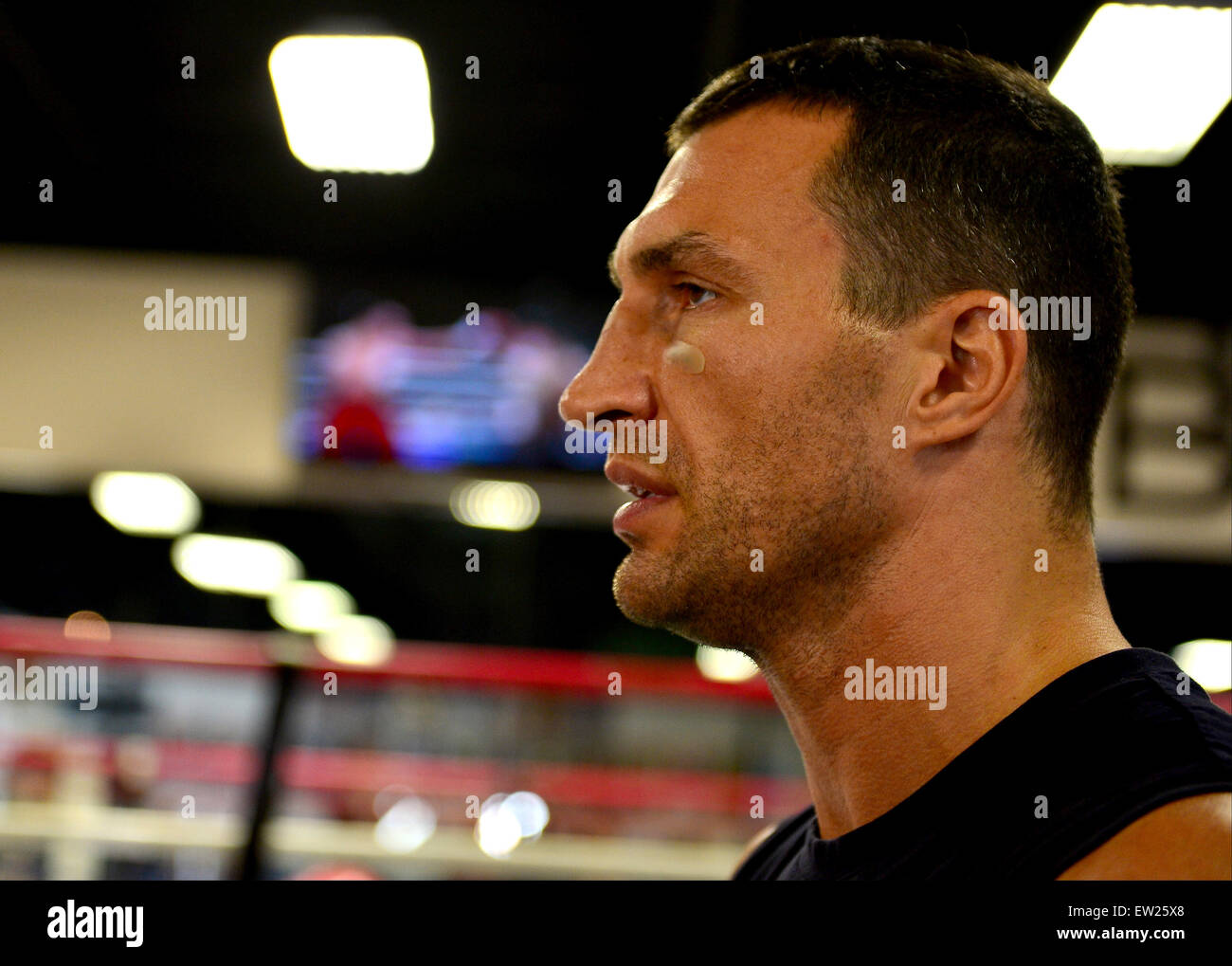 The undisputed heavyweight world champion boxer Wladimir Klitschko ...