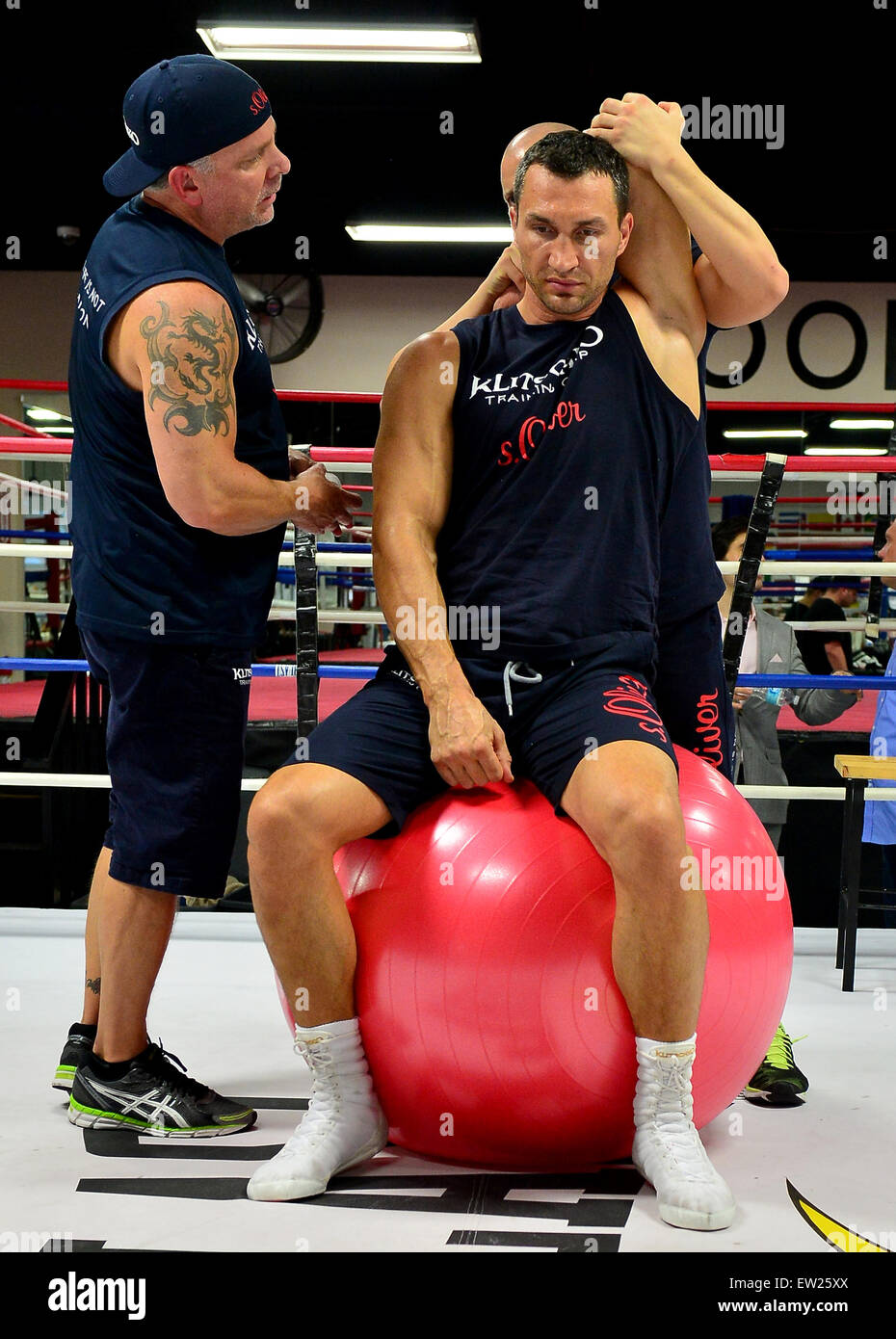 The undisputed heavyweight world champion boxer Wladimir Klitschko ...