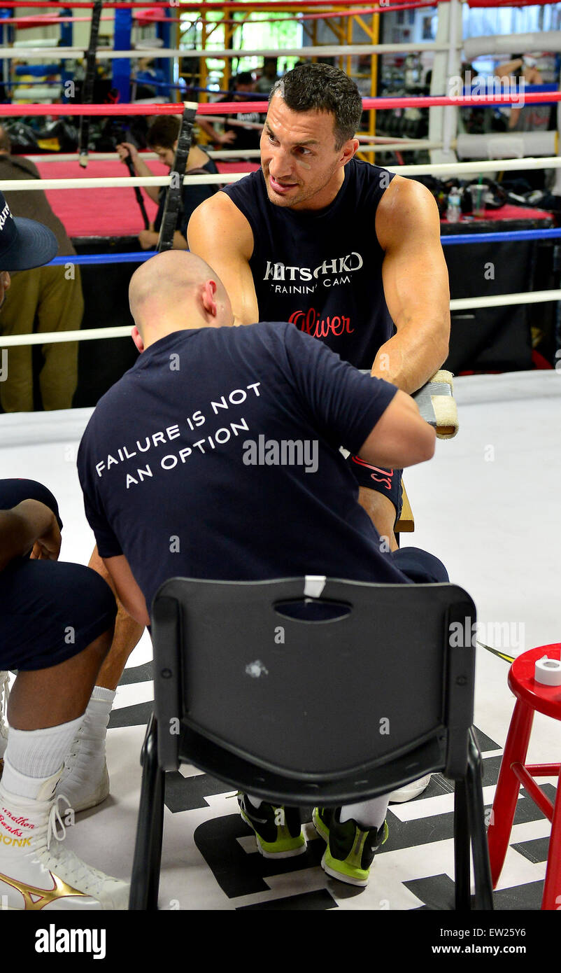 The undisputed heavyweight world champion boxer Wladimir Klitschko ...