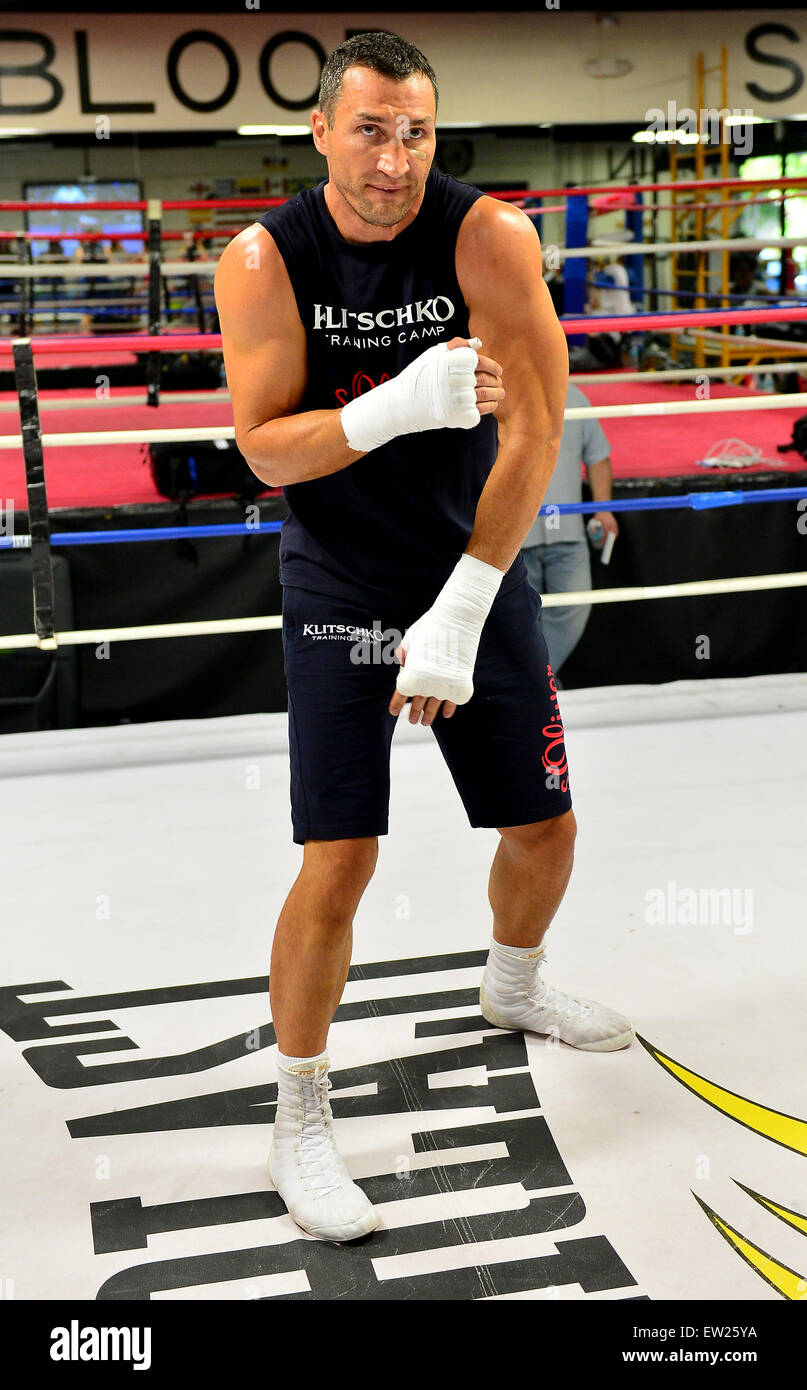The undisputed heavyweight world champion boxer Wladimir Klitschko ...