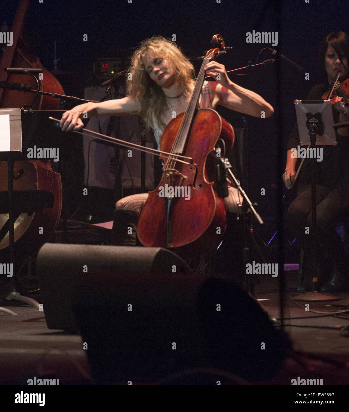 Celebration of the 60th anniversary of Allen Ginsberg's 'Howl' with ...