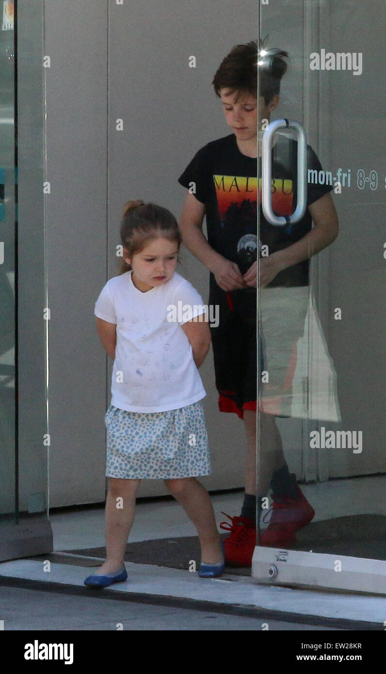 Romeo, Cruz and Harper Beckham visit a Health Spot pet store in Beverly ...