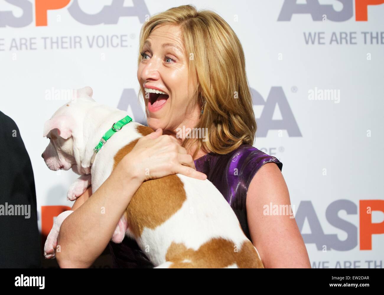 American Society for the Prevention of Cruelty to Animals (ASPCA) hosts ...