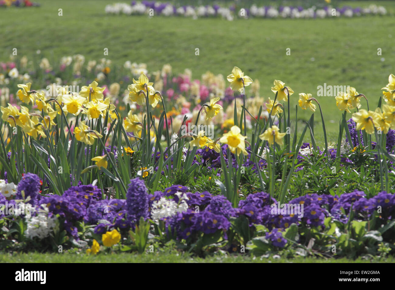 London Spring Weather - Flowers in Victoria Park Featuring: Atmosphere ...