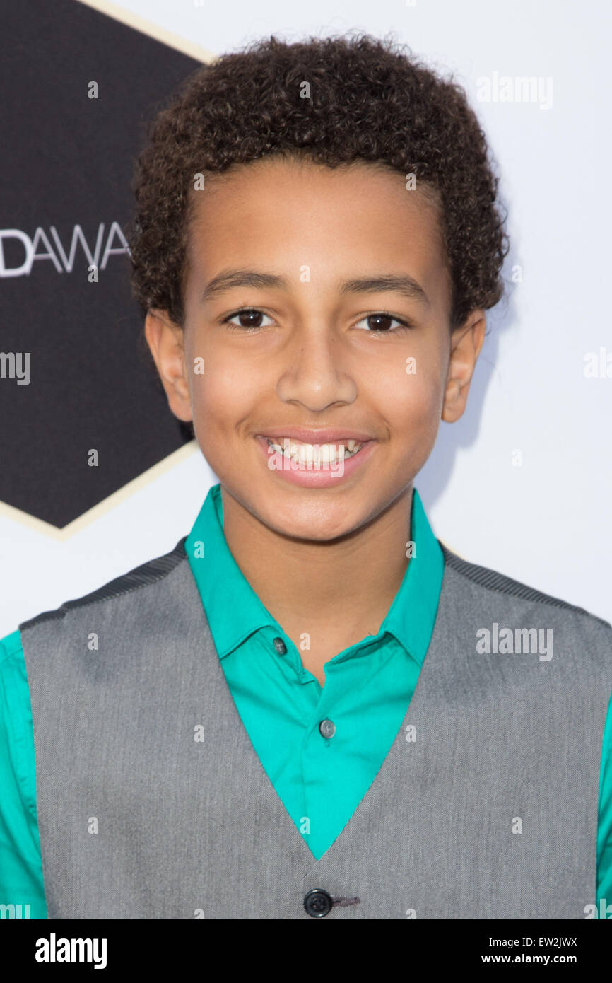 Celebrities attend 2015 TV LAND Awards at The Saban Theatre. Featuring ...