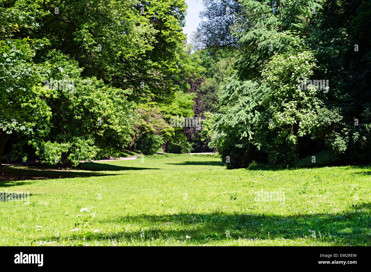 beautiful green park Stock Photo - Alamy