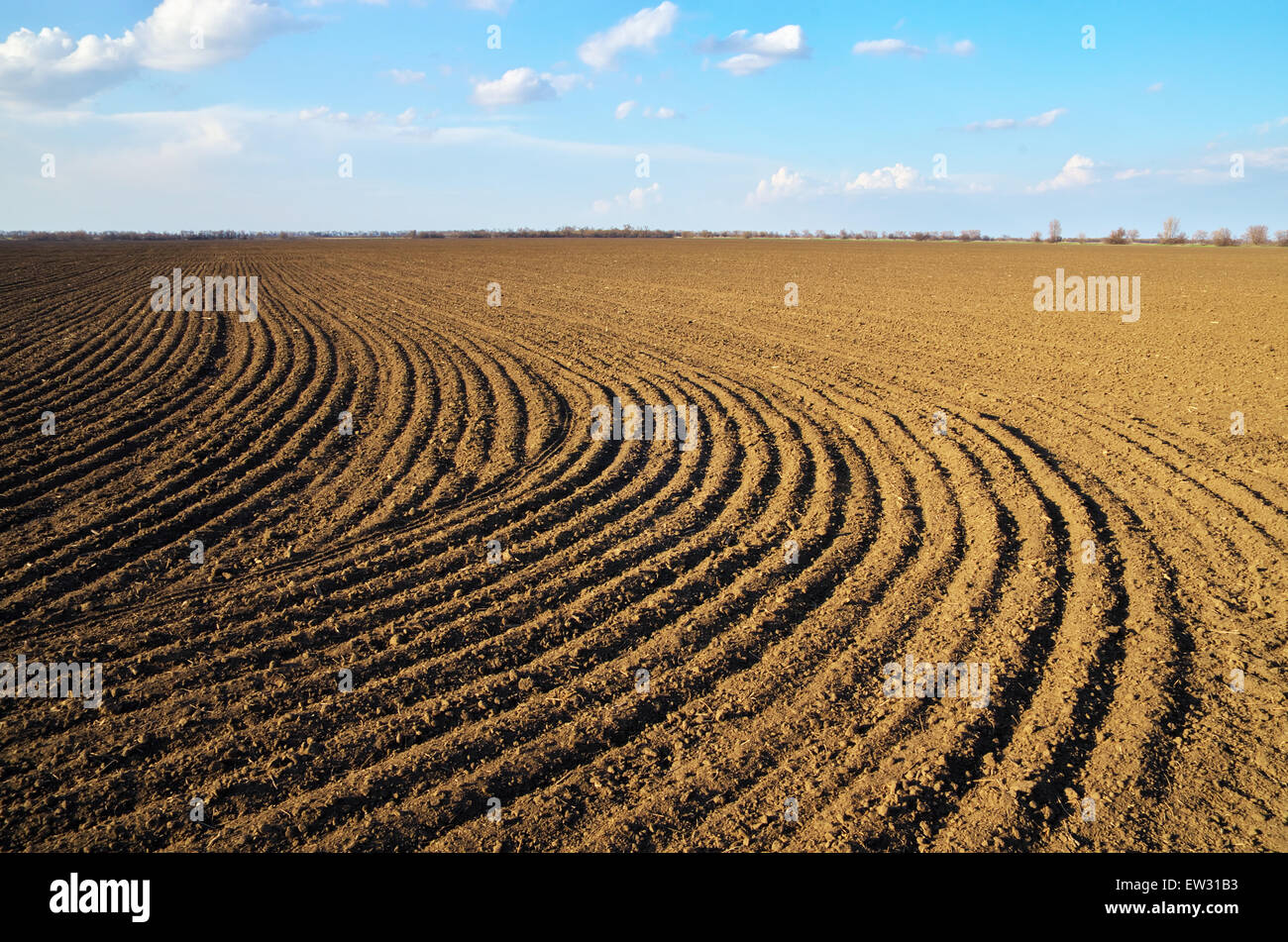 Farm meadow. Composition of nature Stock Photo - Alamy