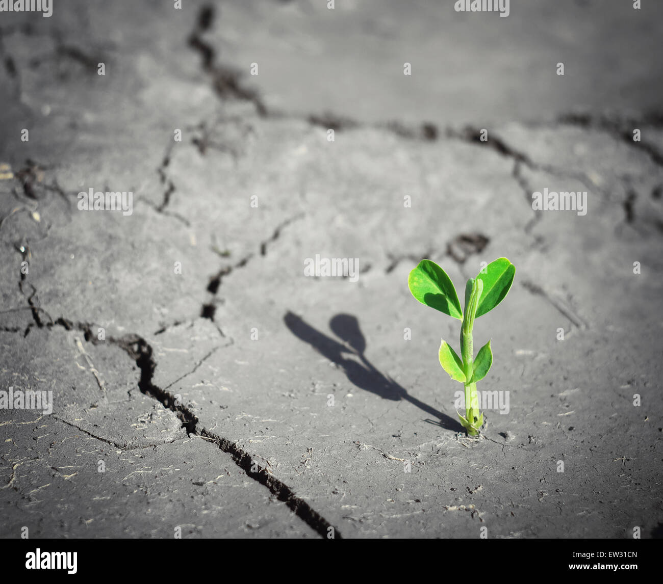 Small death hi-res stock photography and images - Alamy