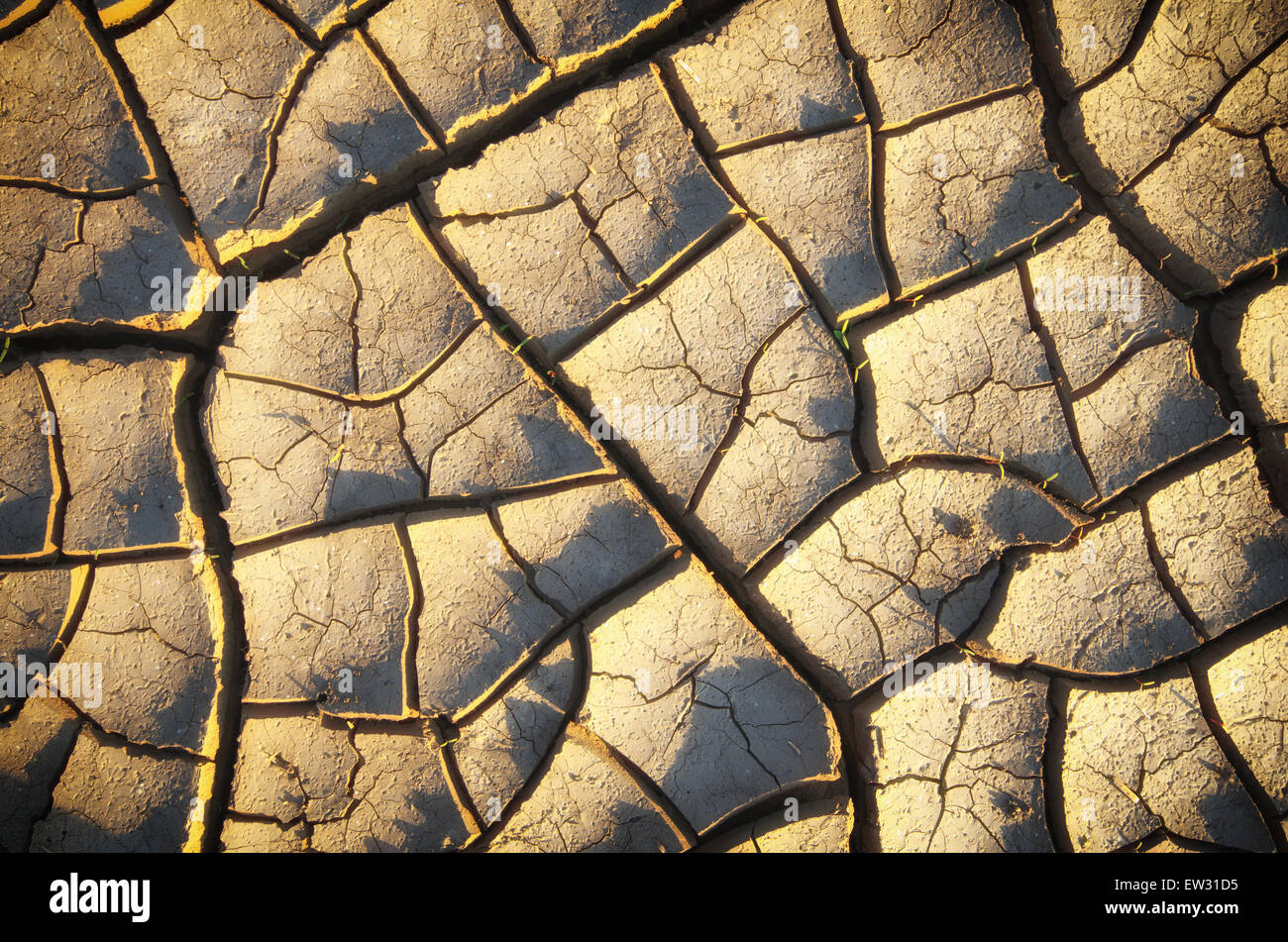 Texture Element Photography