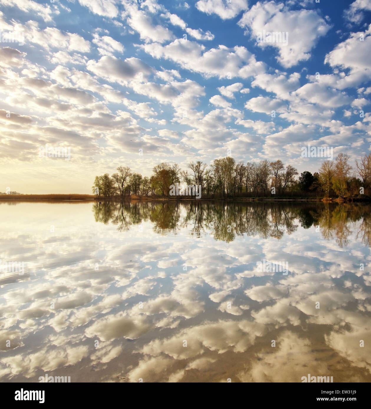 Morning water reflection on river. Nature composition Stock Photo - Alamy