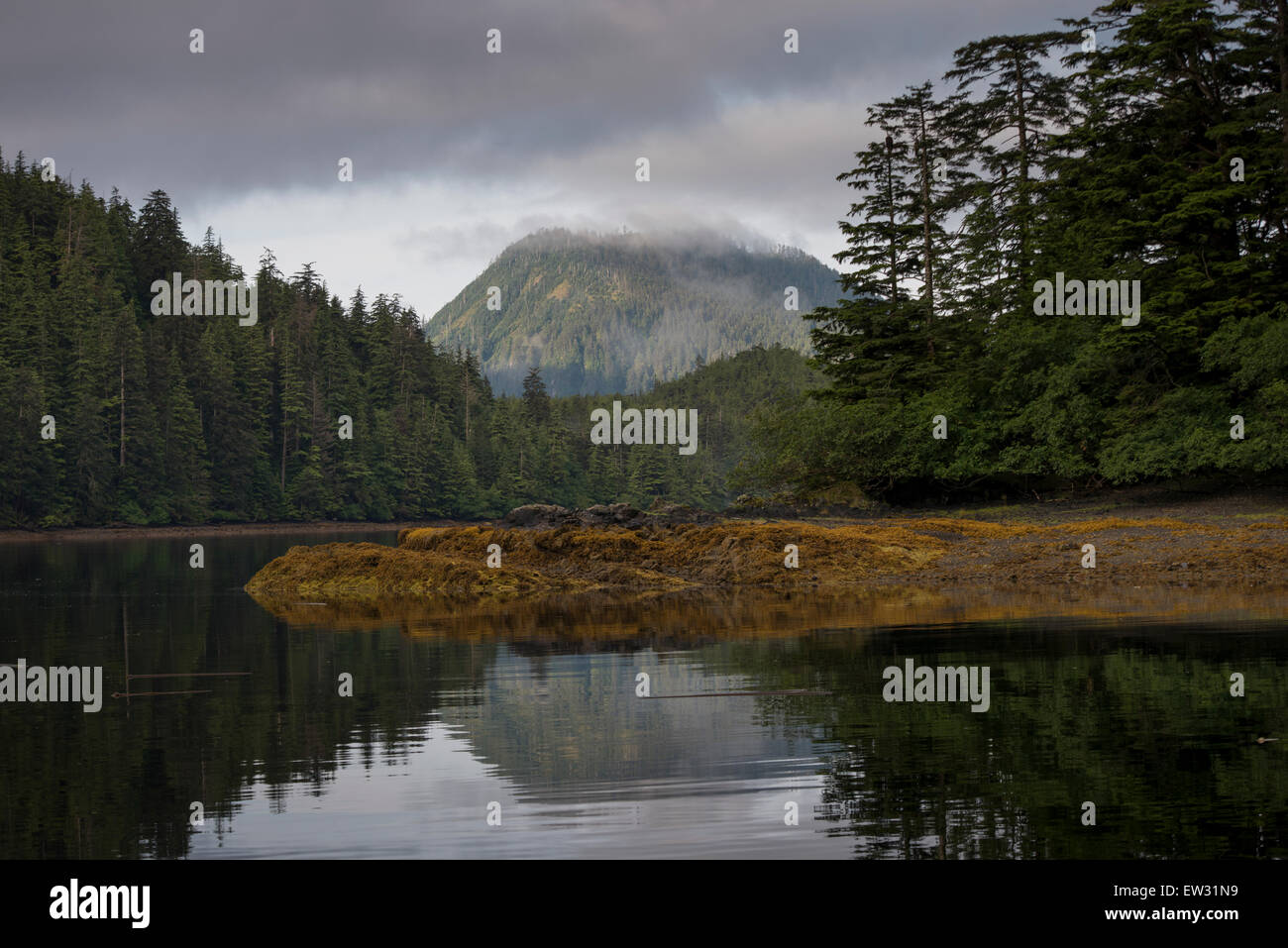 Skeena-Queen Charlotte Regional District, Haida Gwaii, Graham Island ...