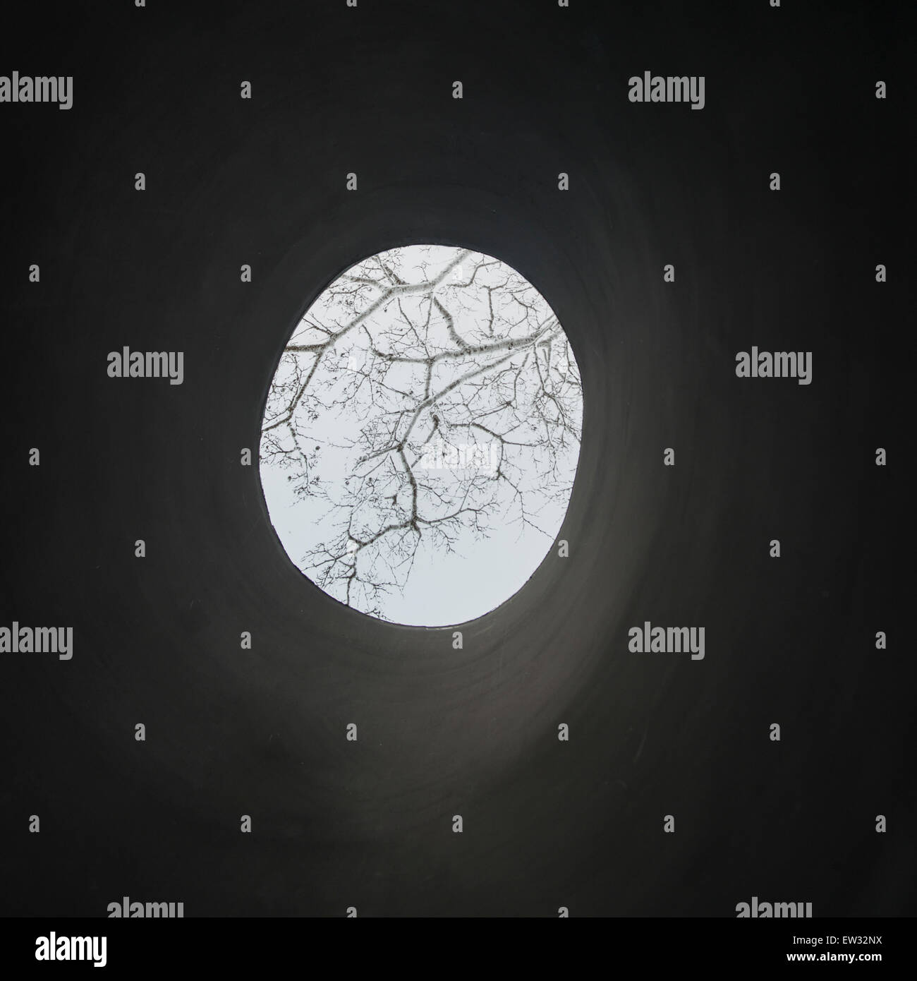 View of a full Moon from the Tierra Patagonia Hotel & Spa, Torres del ...