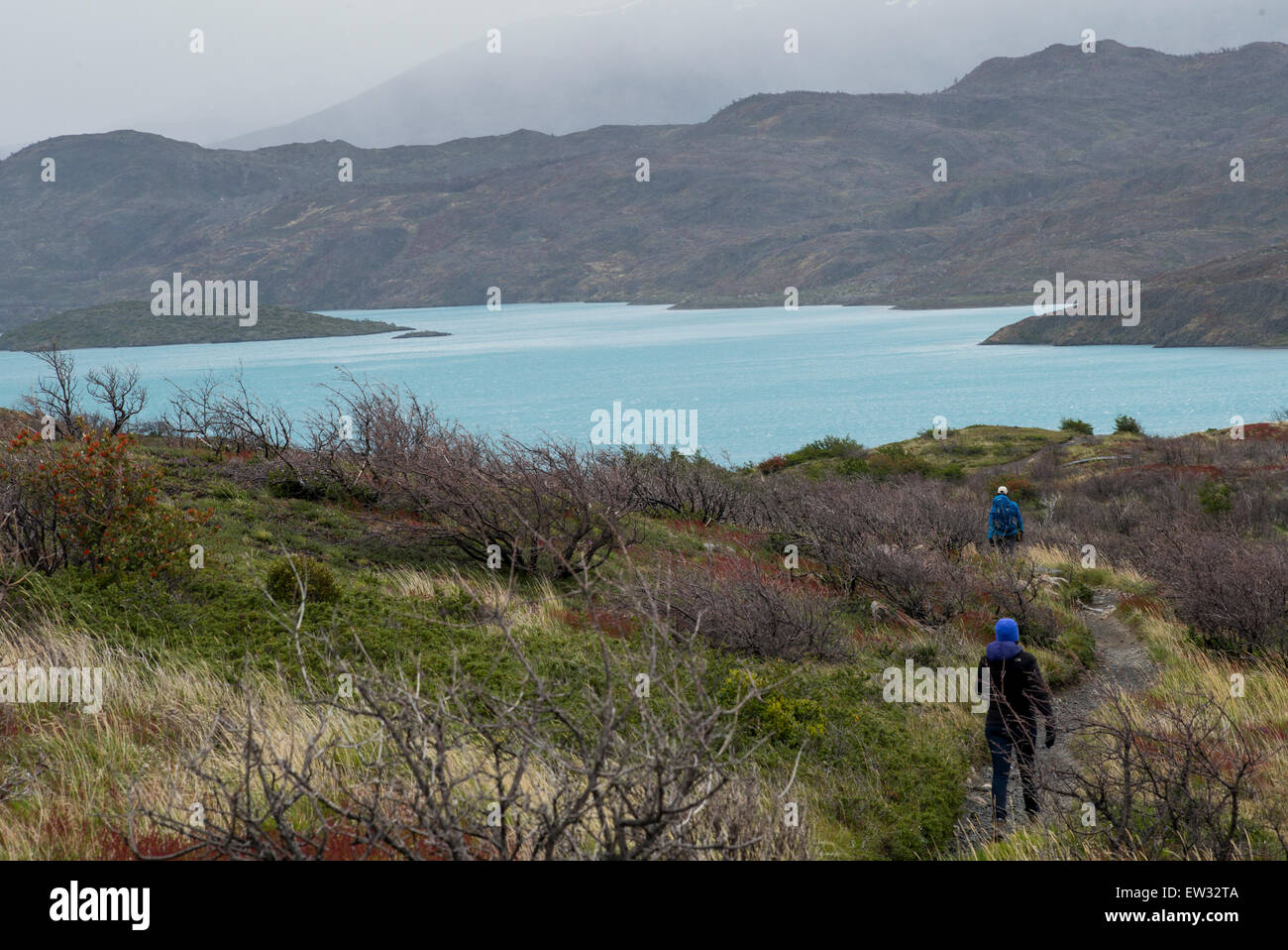 Hikers at W-Trek, French Valley, Torres del Paine National Park ...