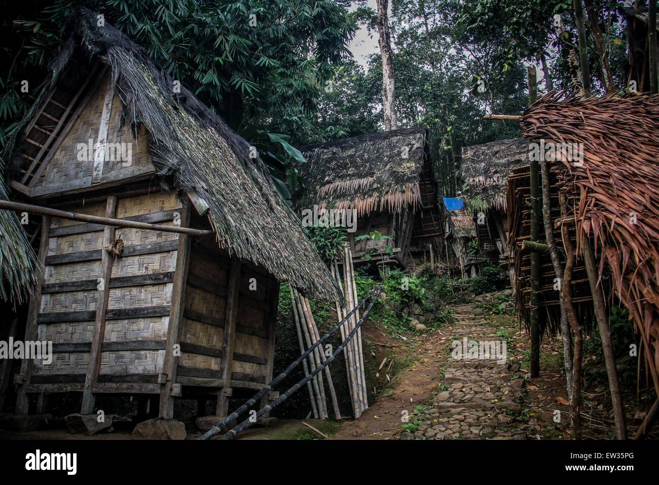 A settlement of bamboo huts of the Baduy tribe is situated in a forest ...