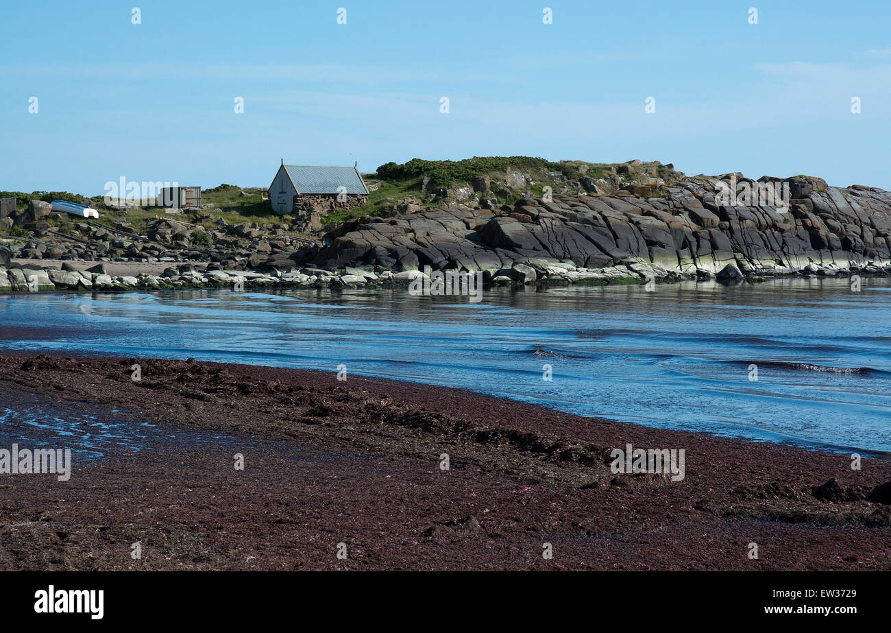 Blue seaweed boat hi-res stock photography and images - Alamy