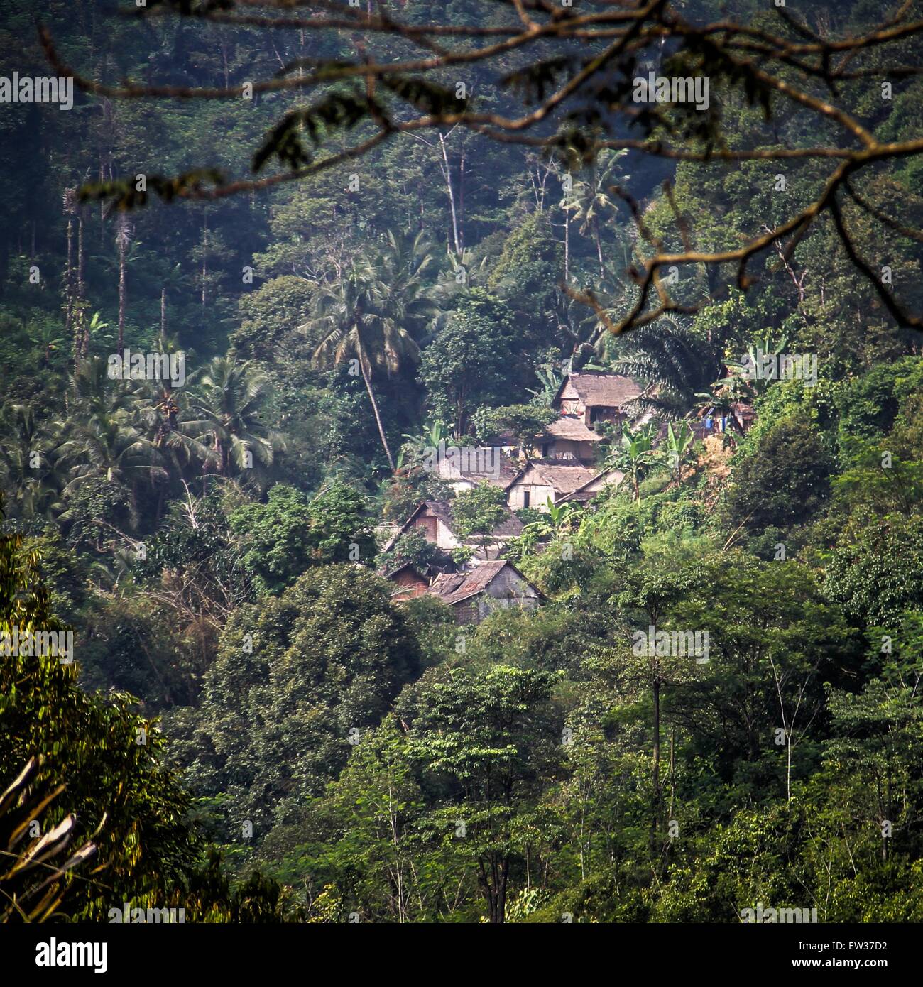 A general view of houses of the traditional Baduy tribe in the hilly ...