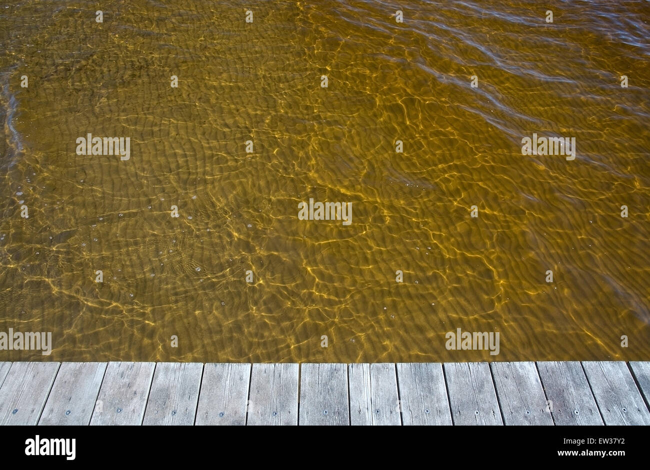 Yellow ocean water discolored by clean sediments from the Atran river ...
