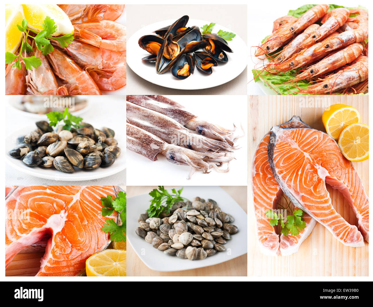 Collage of photos from the fishery products Stock Photo - Alamy