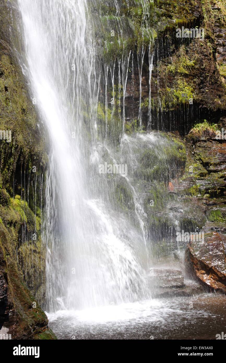 Force gill hi-res stock photography and images - Alamy