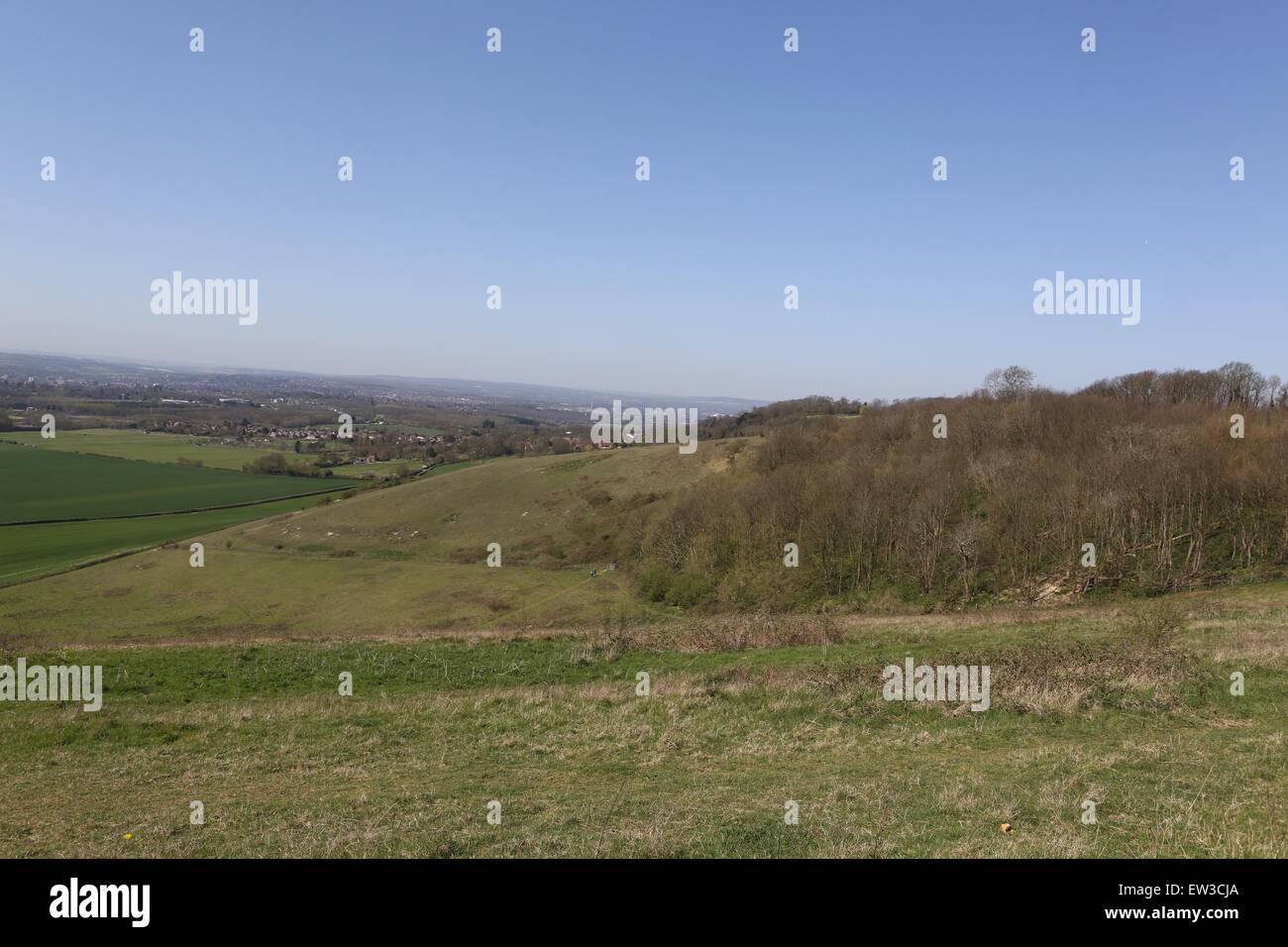 Wood horse model hi-res stock photography and images - Alamy