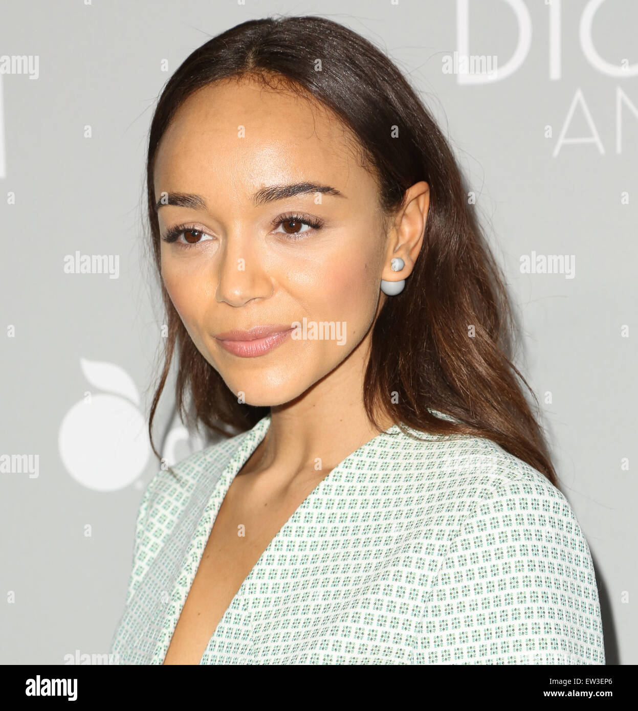 Celebrities attend Los Angeles premiere of The Orchard’s DIOR & I at ...