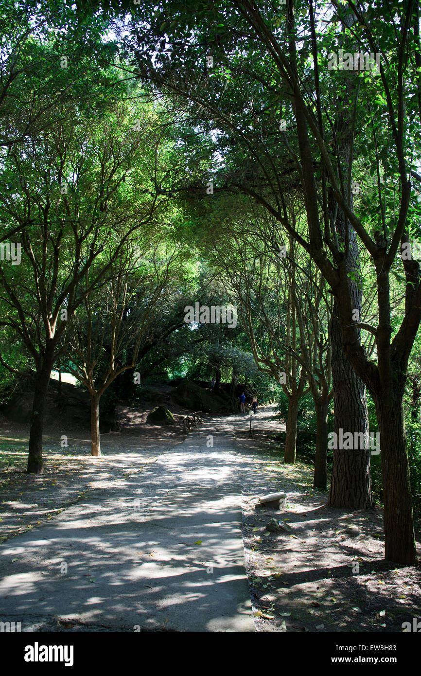 Sacro bosco of bomarzo hi-res stock photography and images - Alamy