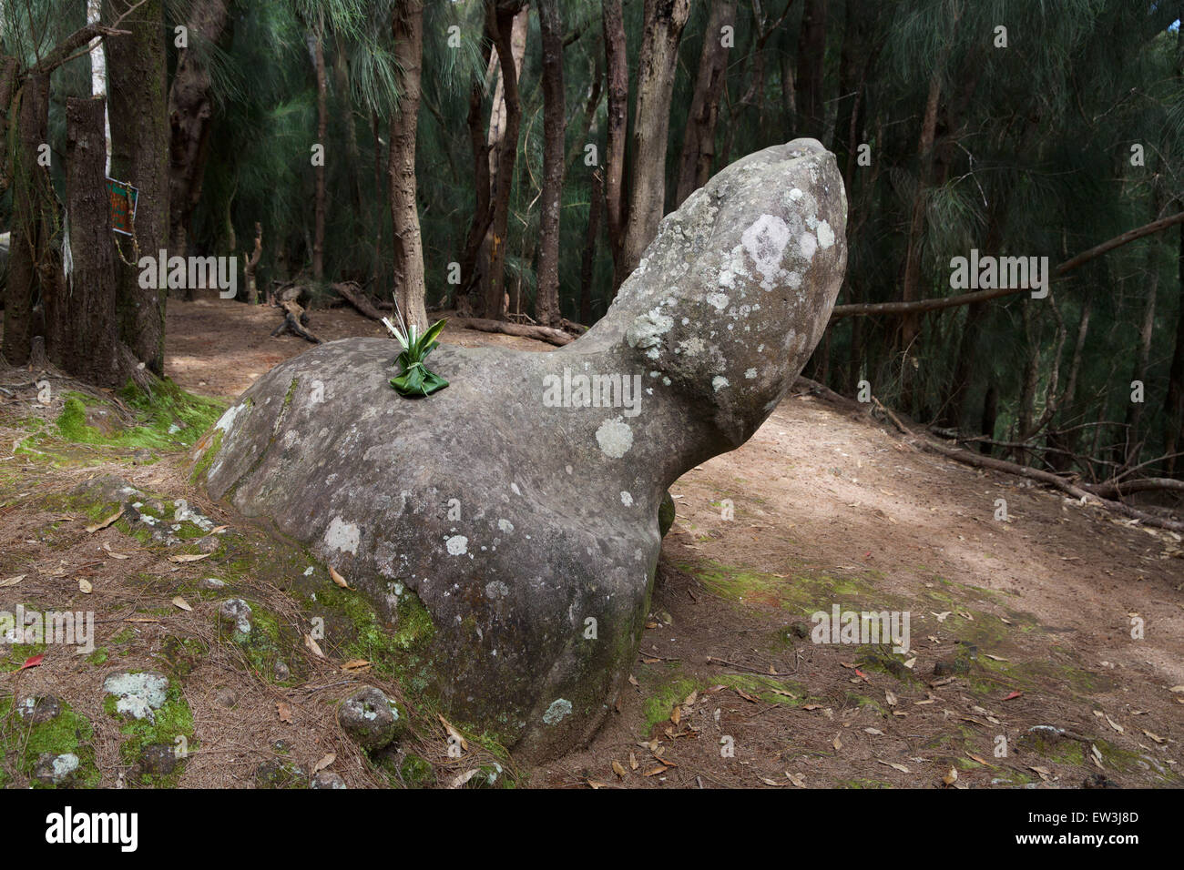 Phallic Rock, Molokai, Hawaii Stock Photo - Alamy