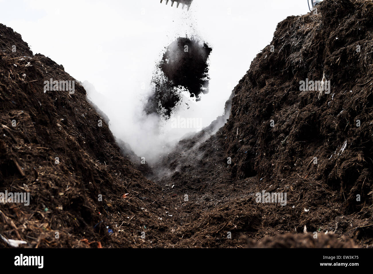 Hot Compost pile being moved by a digger UK farming Stock Photo - Alamy