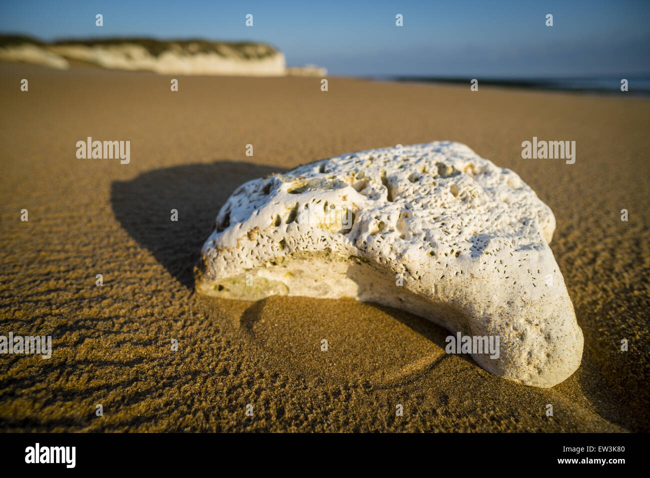 Chalk rock on sandy beach at dawn, Kingsgate Bay, Broadstairs, Kent ...