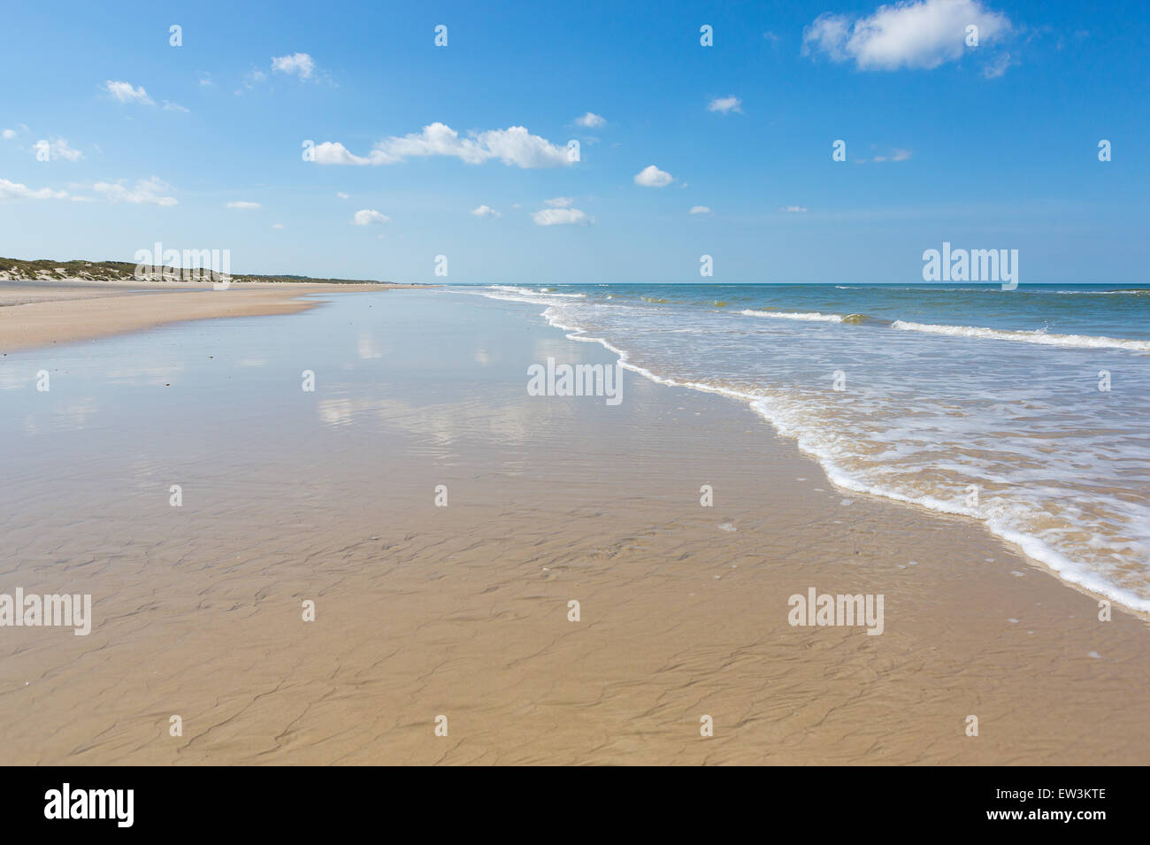 Miami summer water family hi-res stock photography and images - Alamy