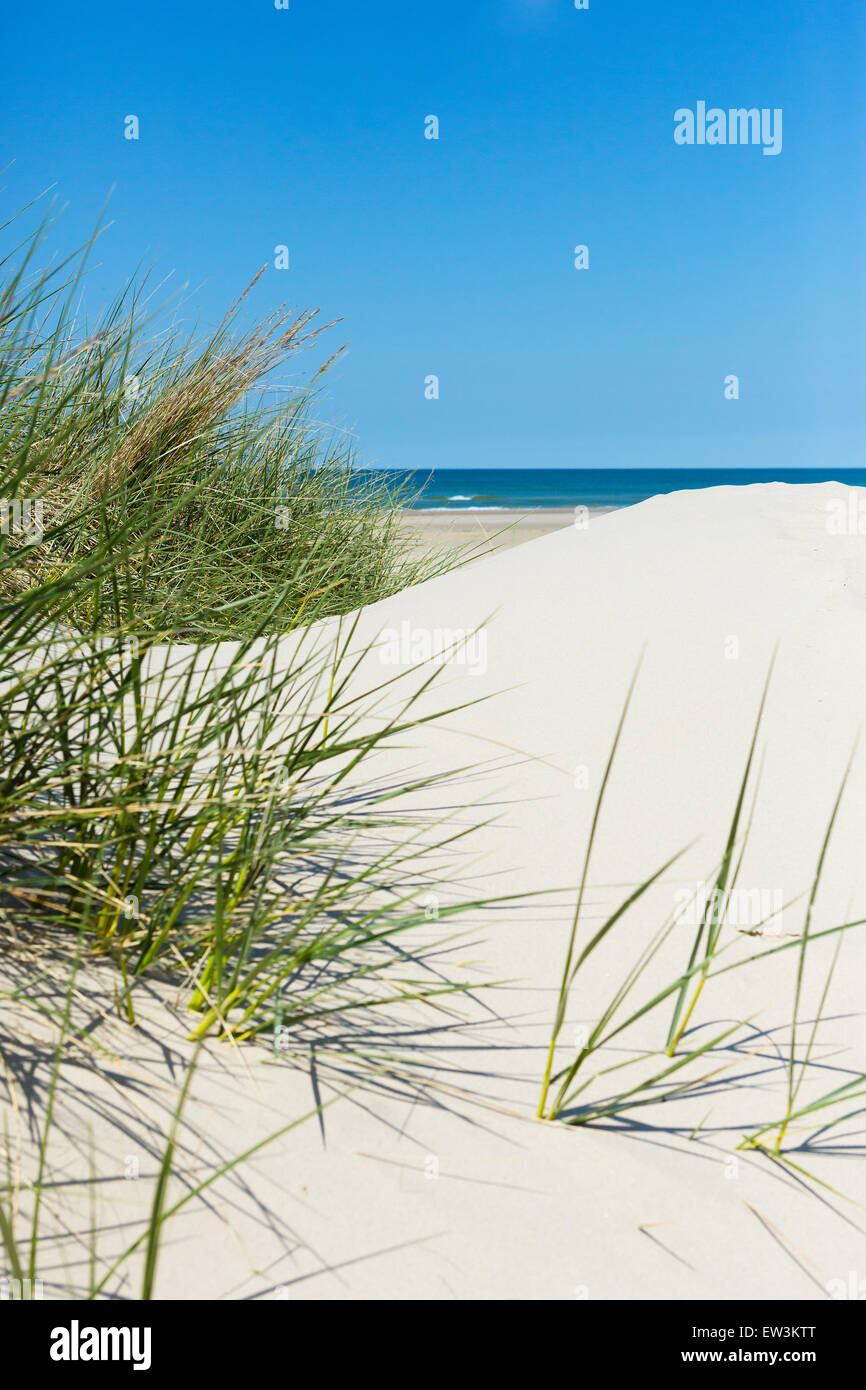 Family beach green hi-res stock photography and images - Alamy
