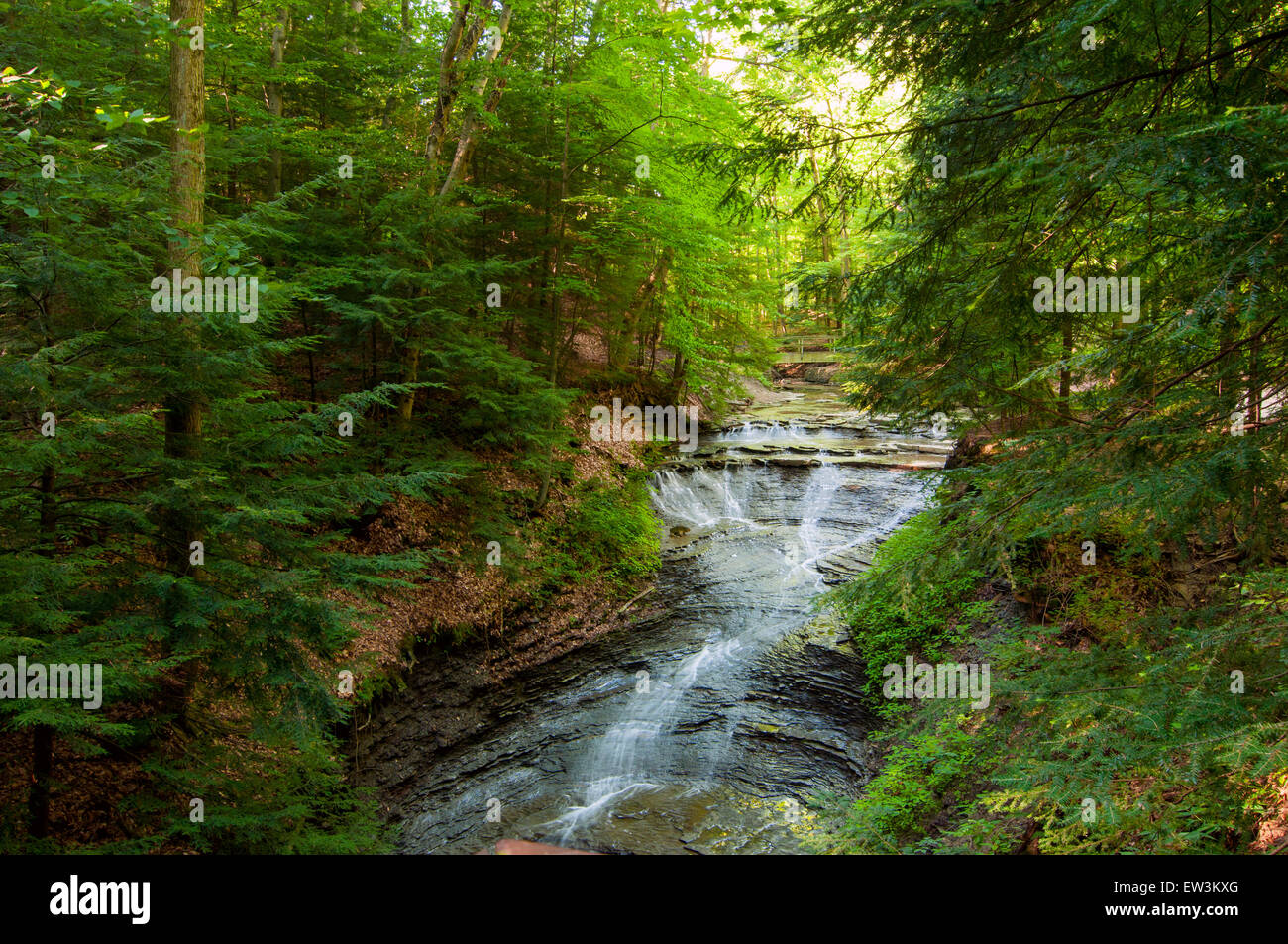 Ohio's Bridalveil Falls in the Bedford Reservation Metropark in early ...