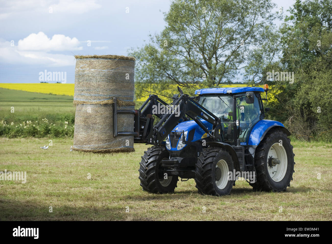 New Holland T7030 tractor with mechanical loader, carrying round silage ...