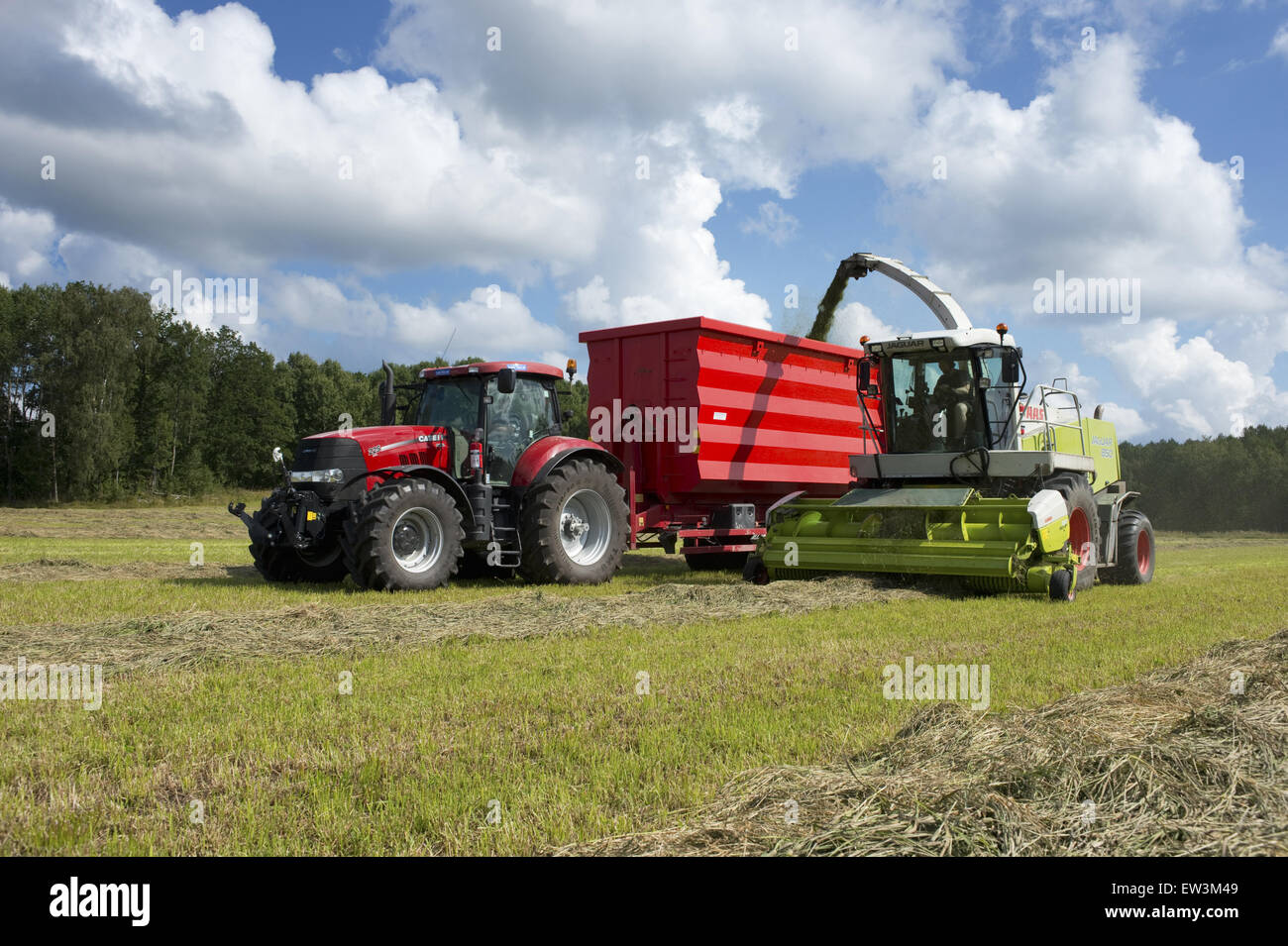 Claas Jaguar 850 self propelled forage harvester, chopping grass and ...