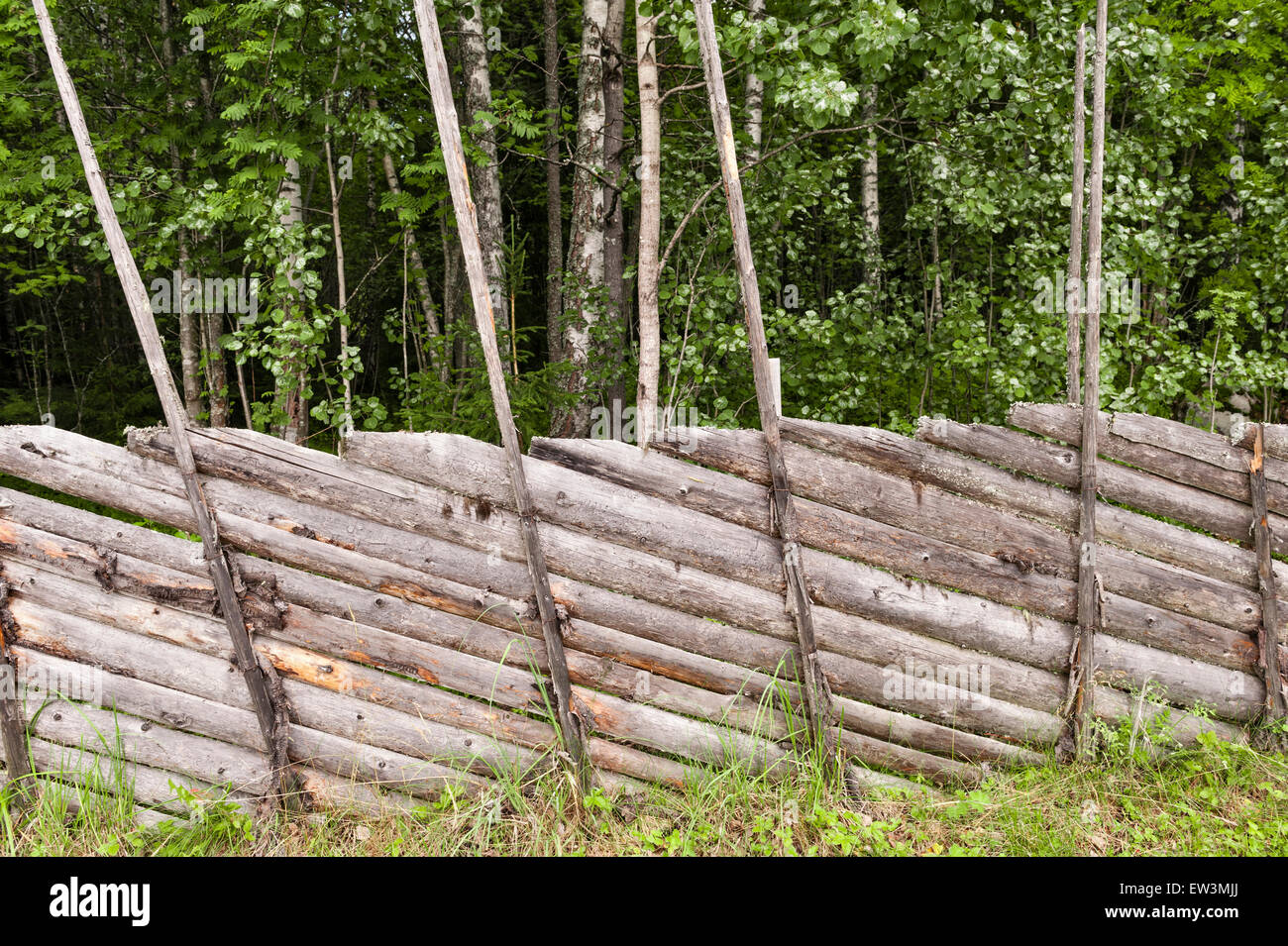 Seter High Resolution Stock Photography and Images - Alamy