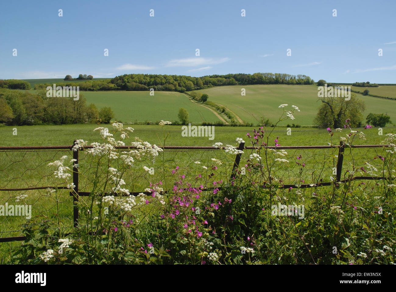Empty green english feild hi-res stock photography and images - Alamy