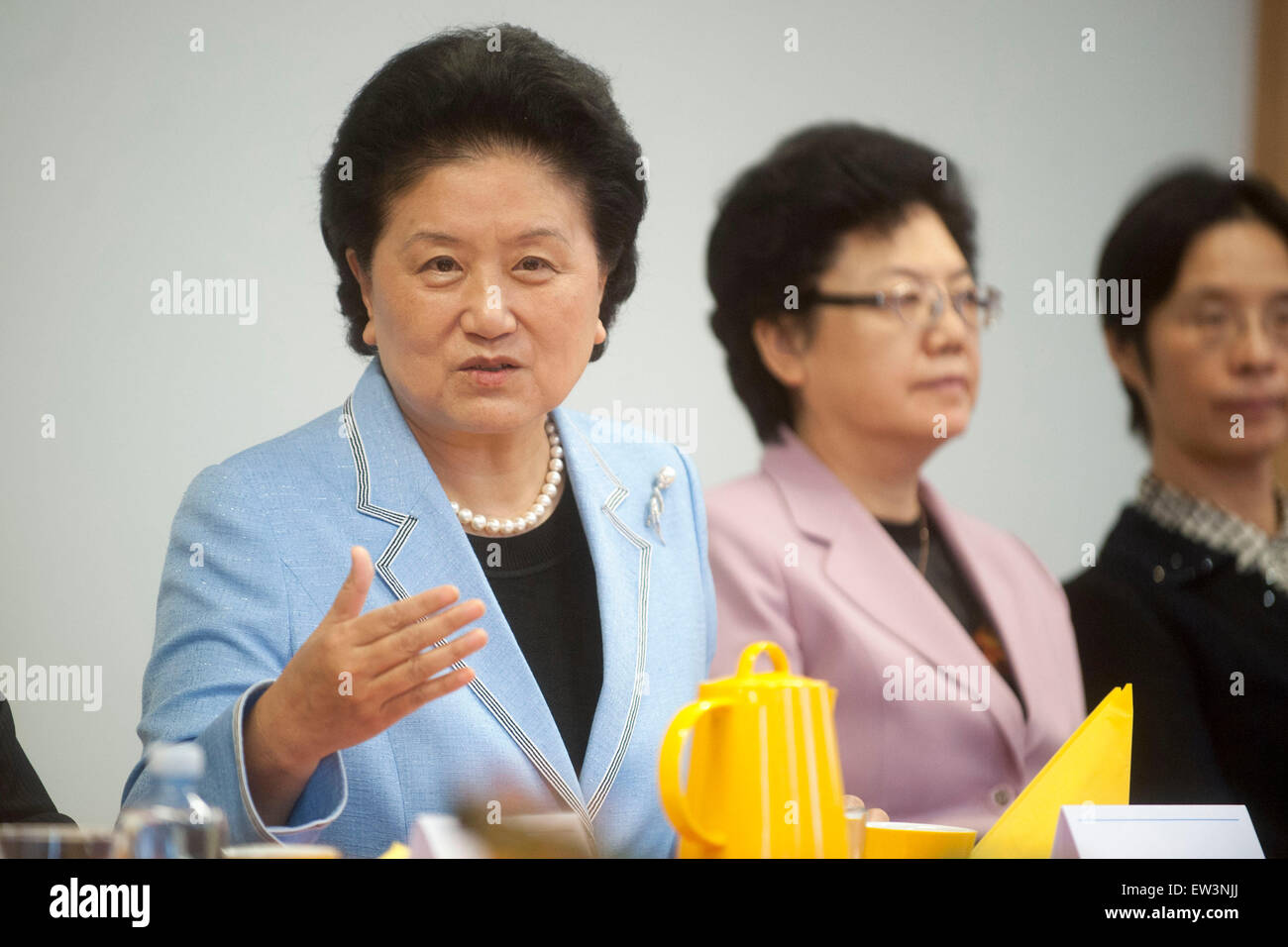 Czech-Chinese Centre for Research into Traditional Chinese Medicine ...