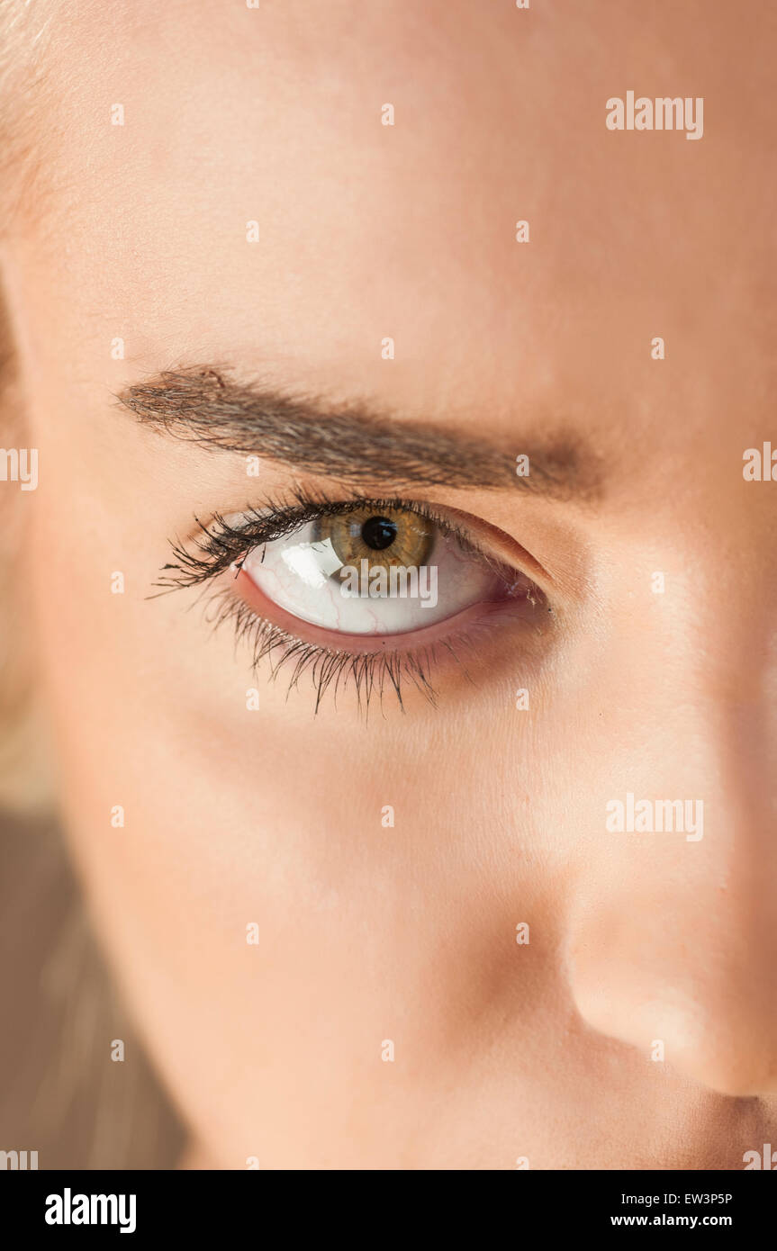 Young beautiful woman eyebrow hi-res stock photography and images - Alamy