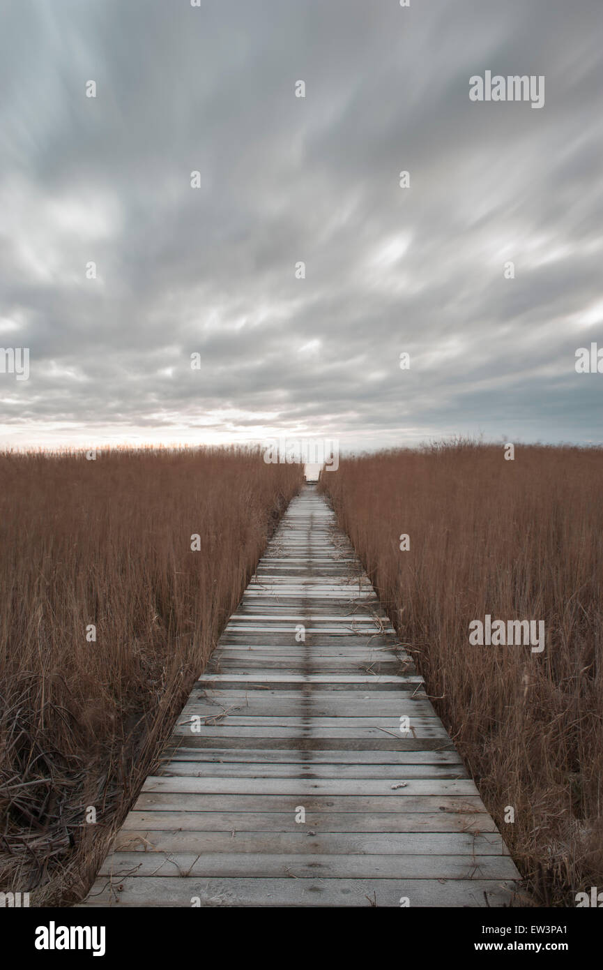 Ringkobing fjord hi-res stock photography and images - Alamy