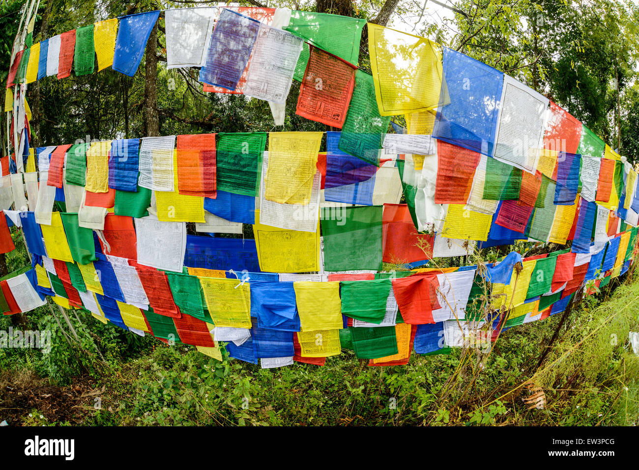 Buddhist praying flags Stock Photo - Alamy