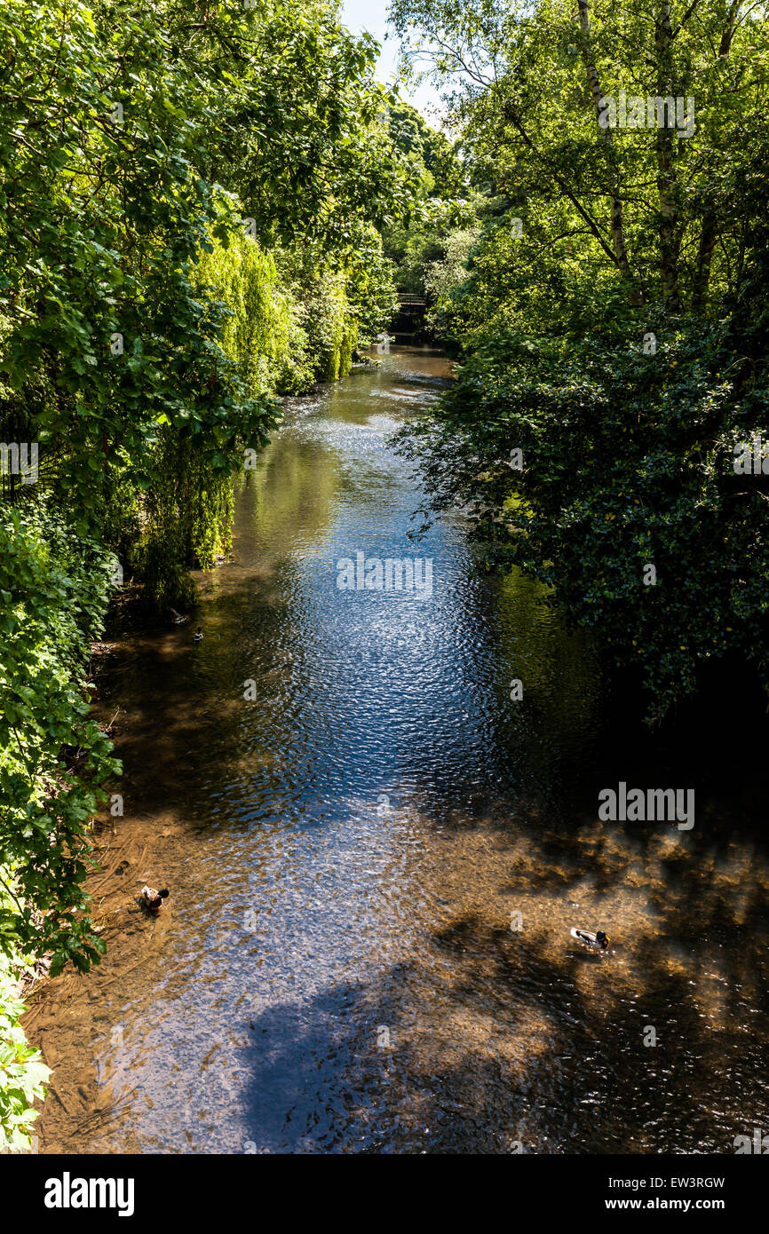 Trent view hi-res stock photography and images - Alamy