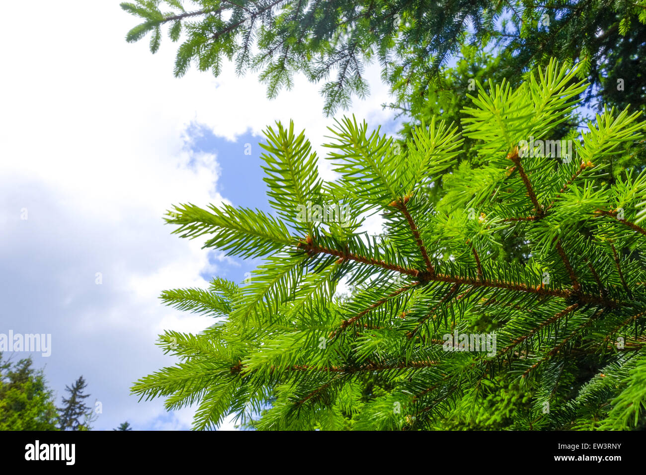 Mono culture hi-res stock photography and images - Alamy