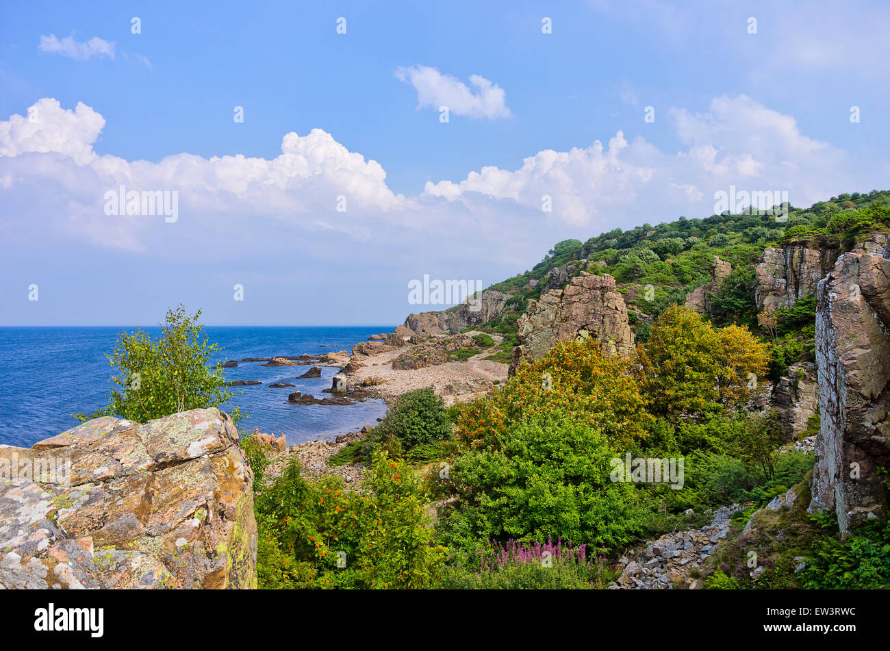 Sea and rocks on the coast of Hovs Hallar, Sweden Stock Photo - Alamy