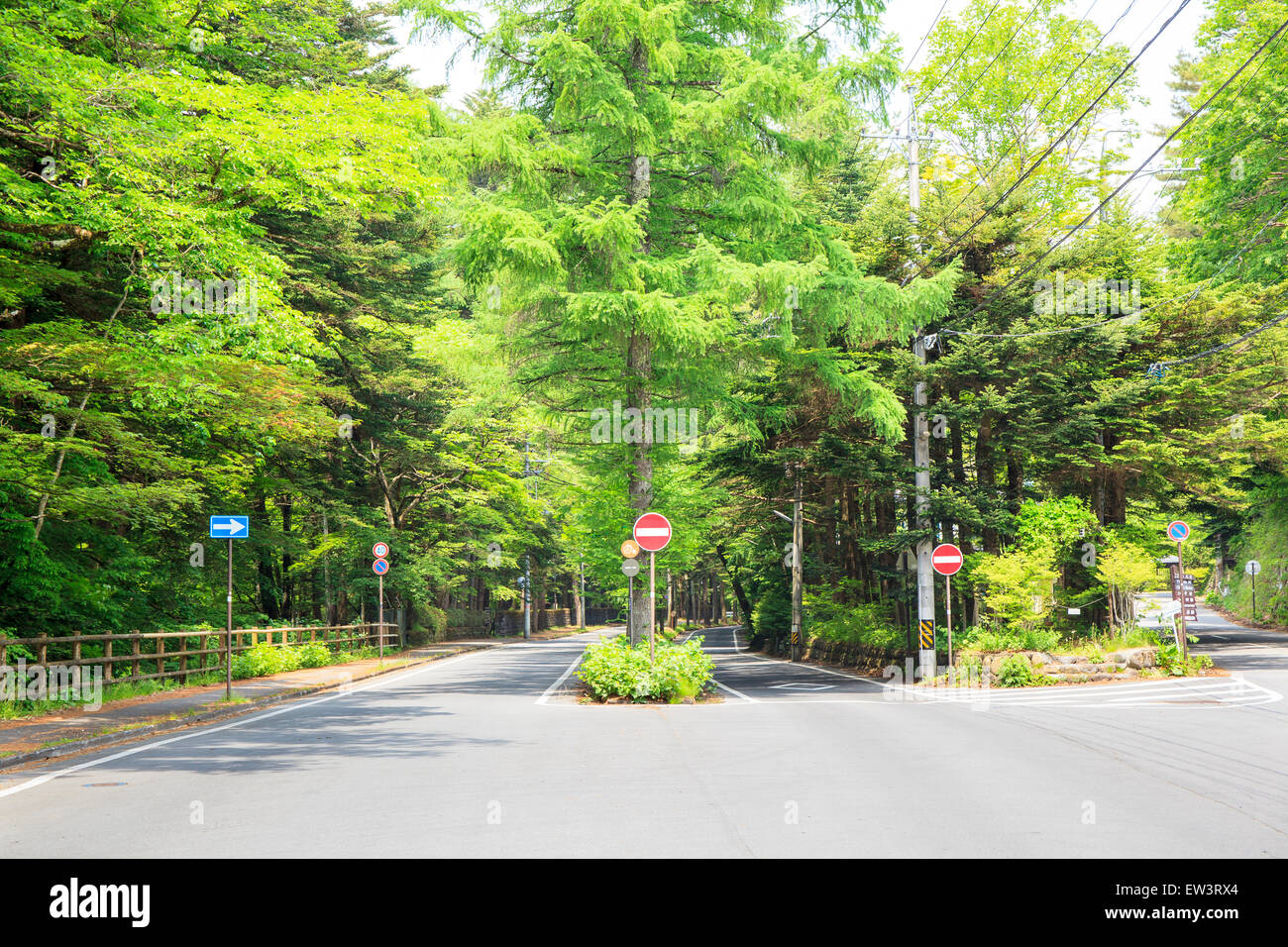 Japan of street trees hi-res stock photography and images - Alamy